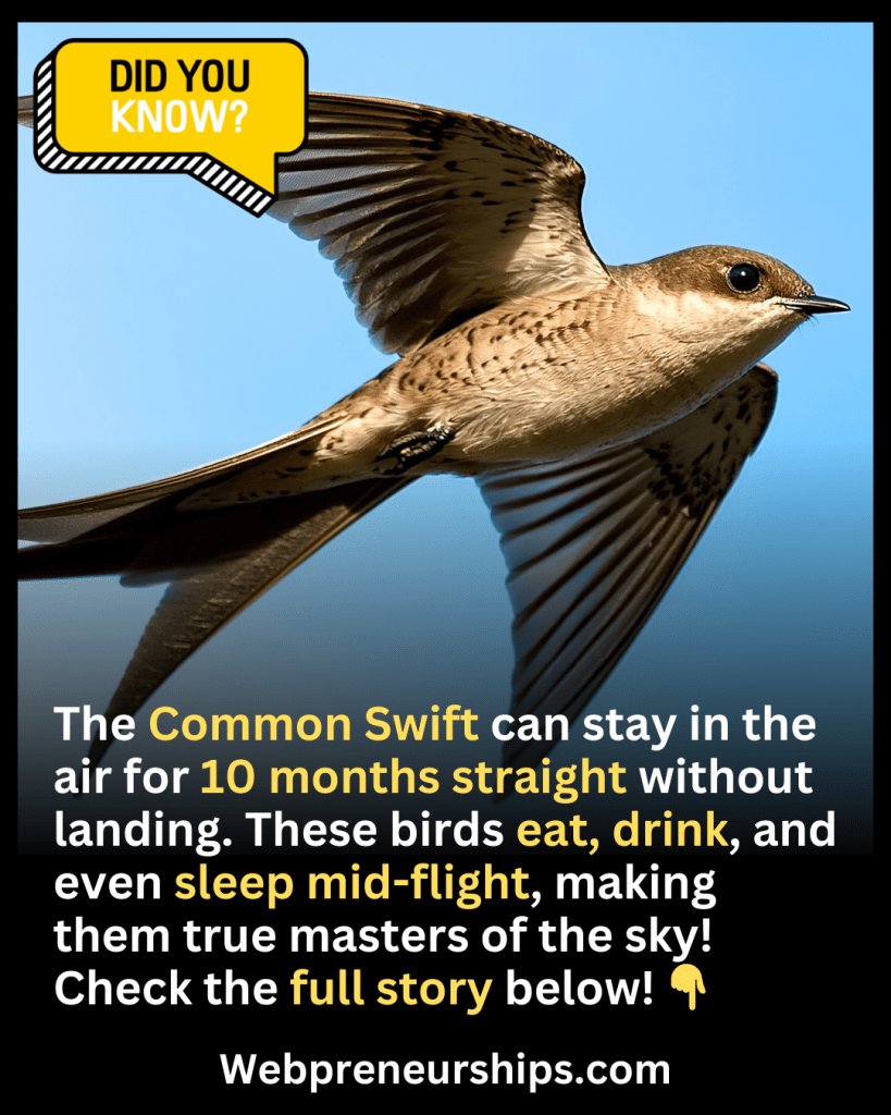 5 Mind-Blowing Nature Facts You Won’t Believe!