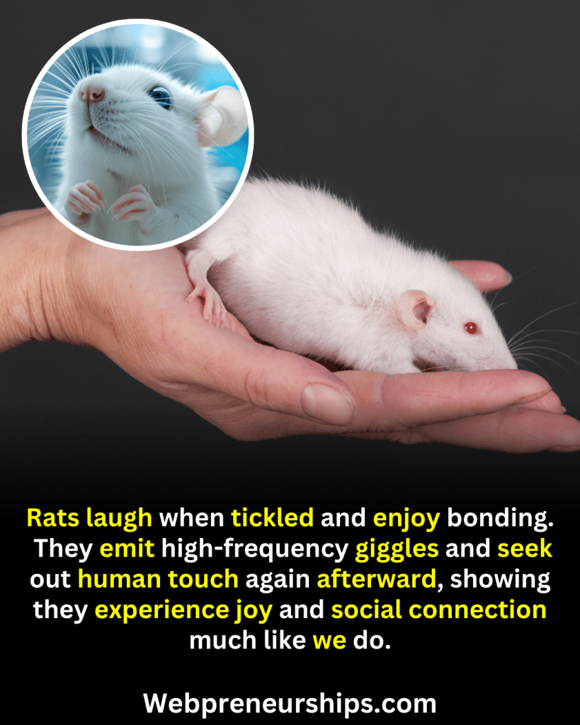 12 Animal Facts That Will Break Your Heart and Blow Your Mind