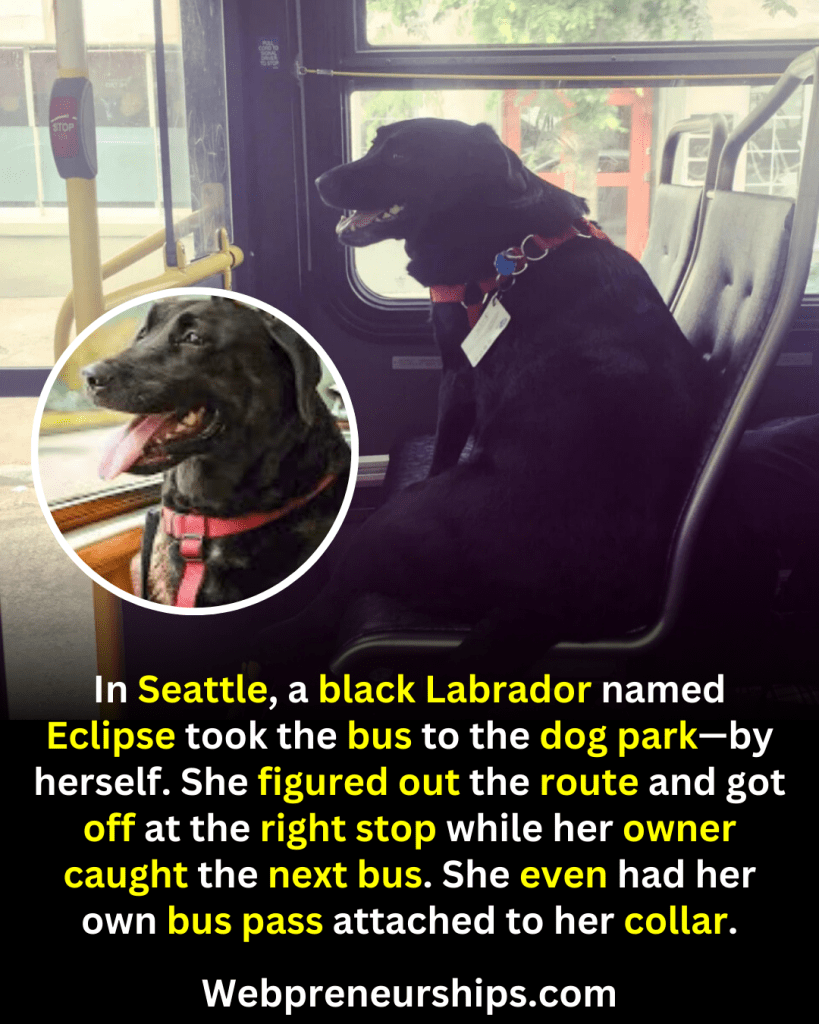 You Won’t Believe These 10 Amazing Funny Facts Are Actually Real