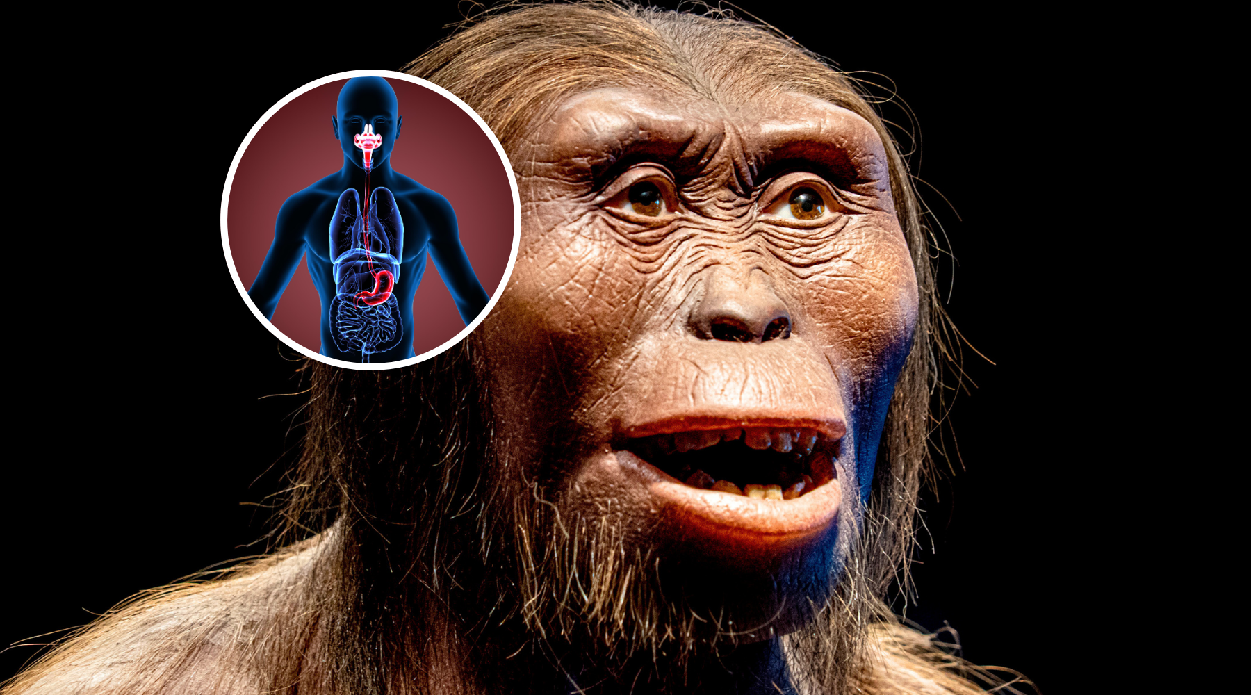 Scientists Say Neanderthals Ate Rotting Meat With Maggots — And This Is ...