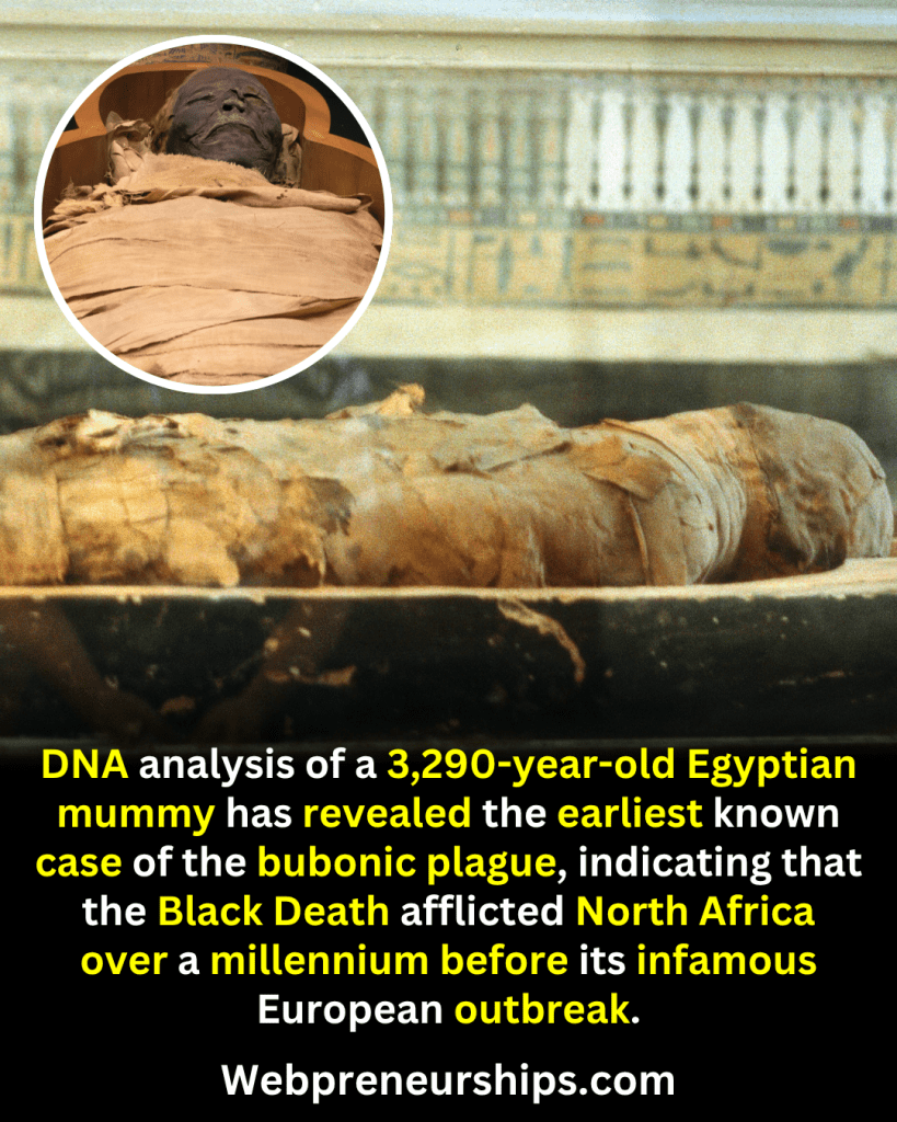 Scientists Found an Ancient Disease That Claimed the Lives of Over 50 ...