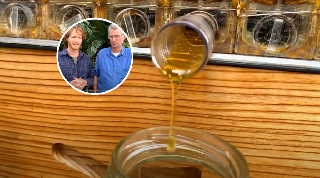 Father and Son Invent Beehive That Lets You Harvest Honey Without ...