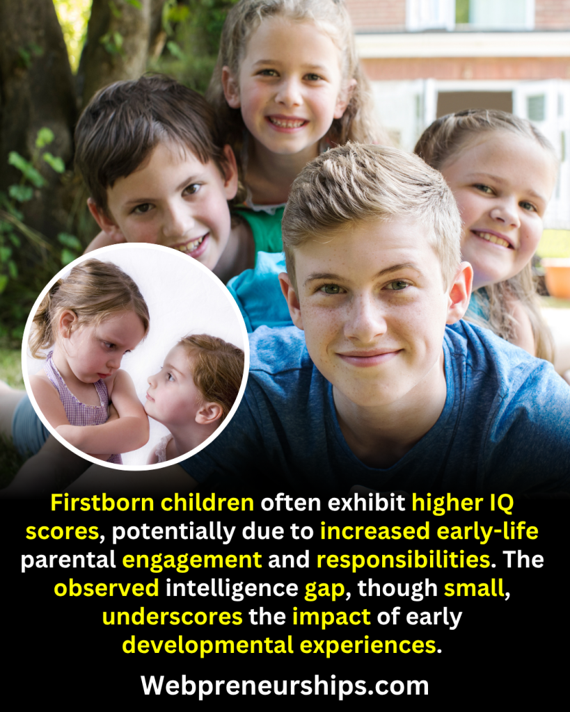 Scientists Say Firstborns Are More Often the Smartest in the Family