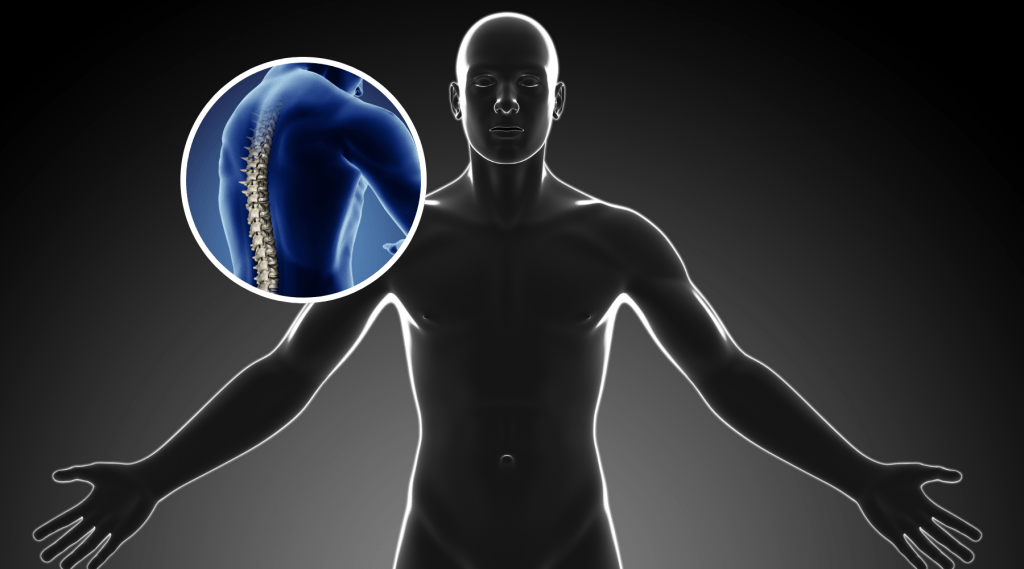 Scientists Explain: If We Evolved from Apes, Why Do Humans Stand Upright?