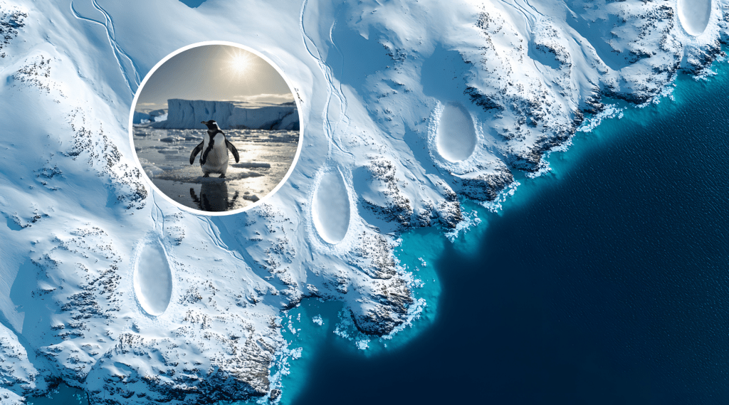 Scientists Say Antarctica Just Gained 100 Billion Tons of Ice—Could ...